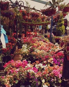 Lake Xochimilco | Mexico Lakes