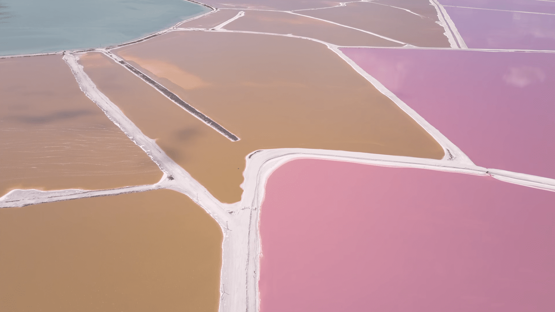 Las Coloradas Pink Lake | Mexico Lakes
