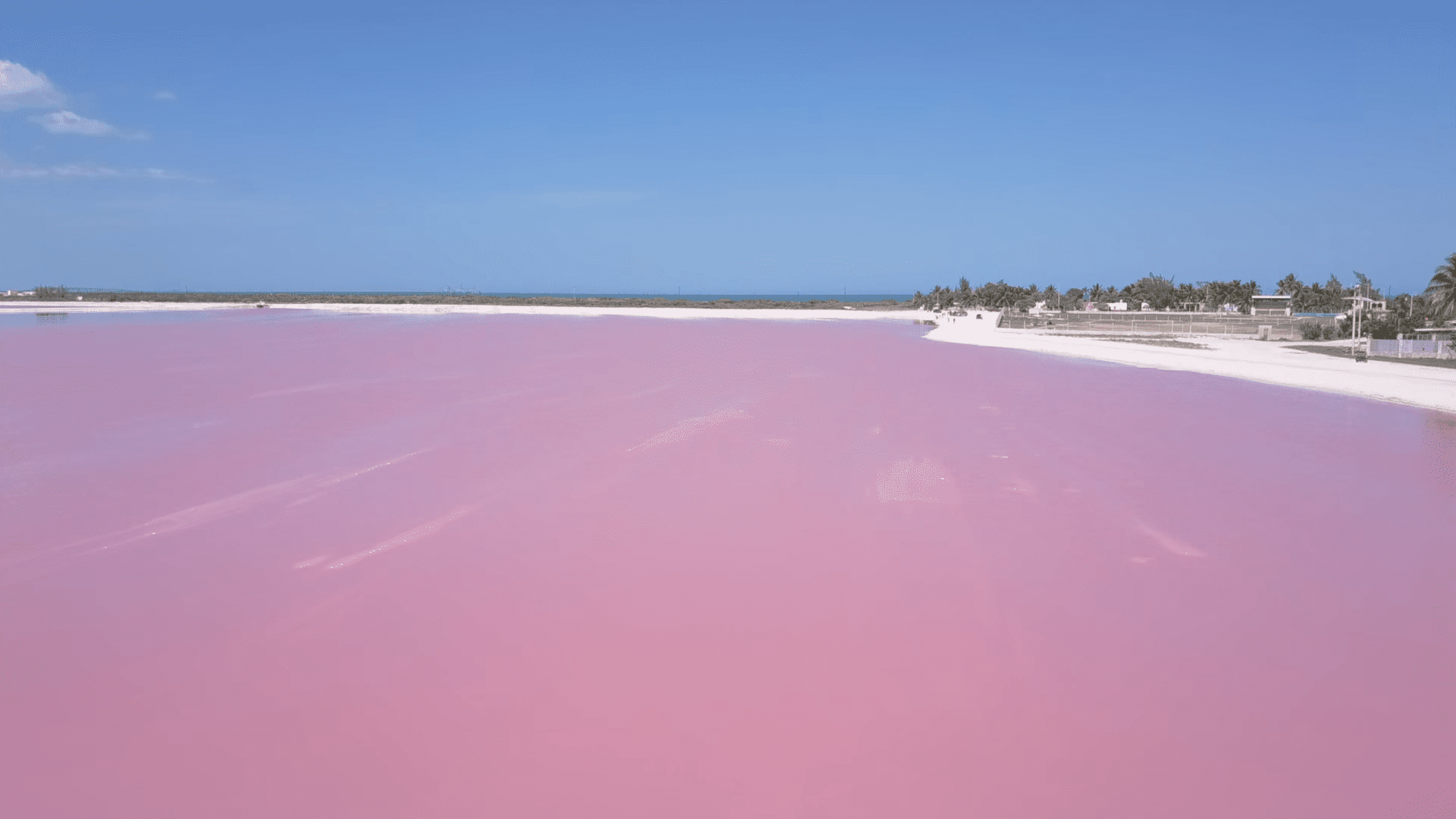 Las Coloradas Pink Lake | Mexico Lakes