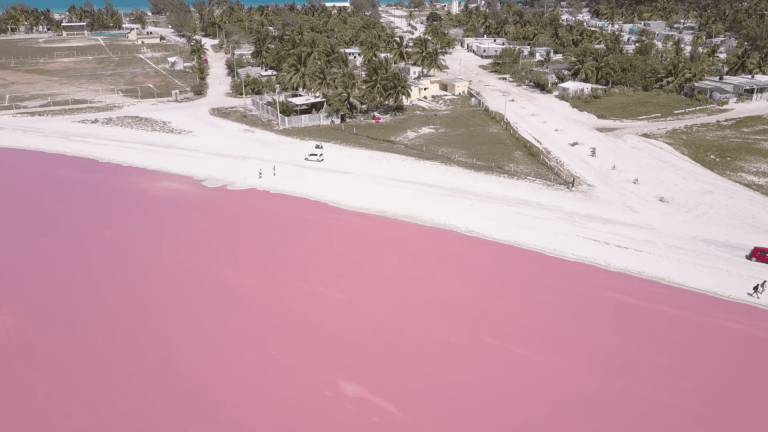 Las Coloradas Pink Lake | Mexico Lakes
