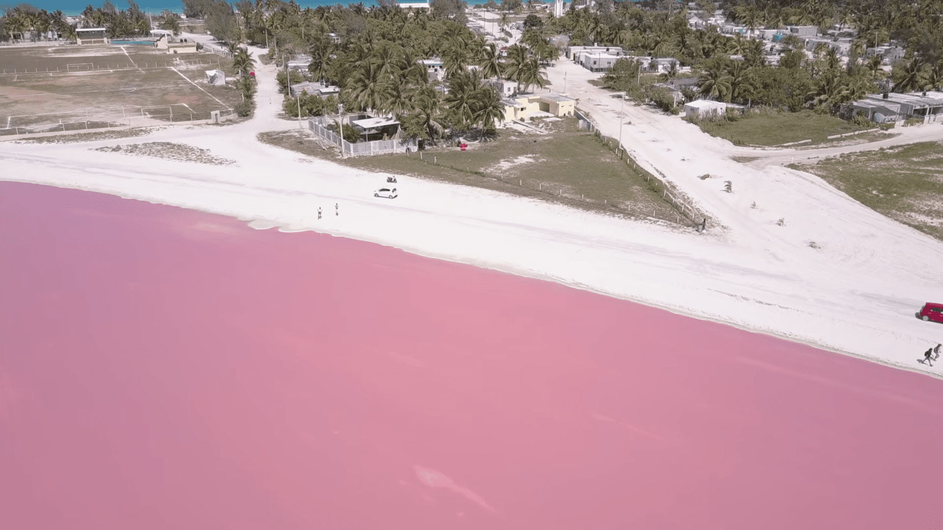 Las Coloradas Pink Lake | Mexico Lakes